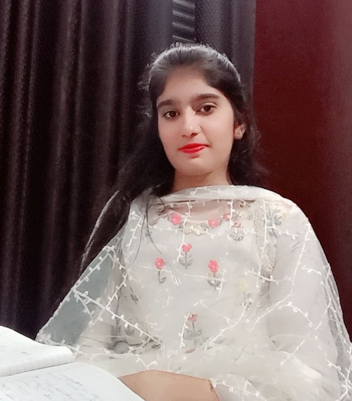 Zara Software Provider | Excellence in IT Innovation and Services